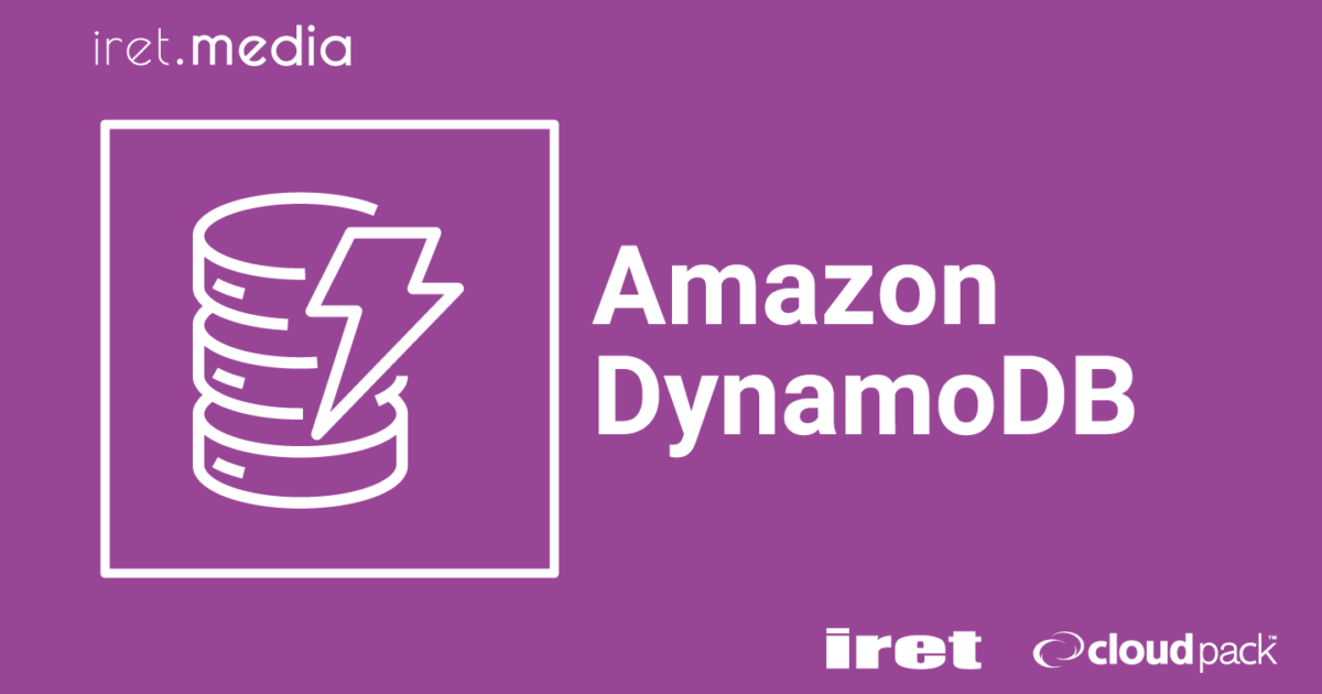 DynamoDBを自由自在に扱おう | iret.media