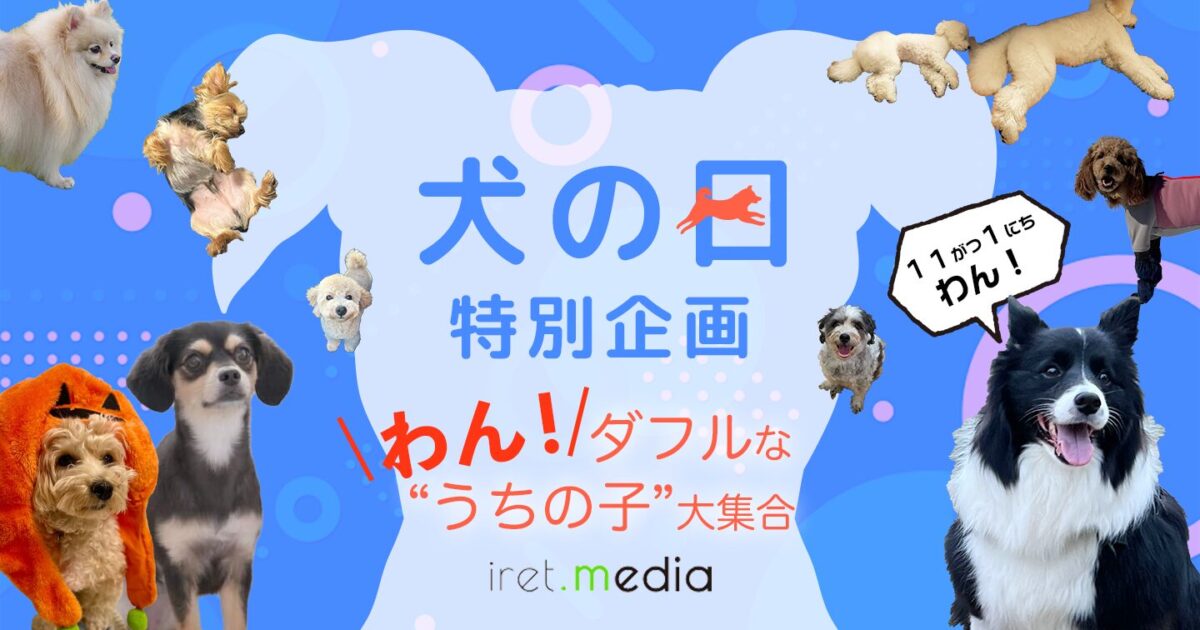 【犬の日特別企画】アイレット社員の愛犬写真集 〜わん！ダフルな “うちの子” 大集合〜 | iret.media